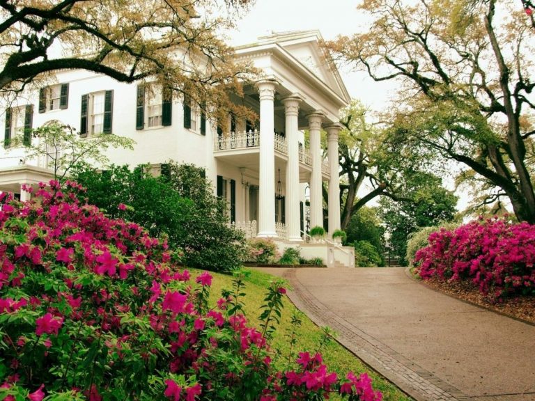 25++ Stunning Driveway Ideas You Should Try (Some Will Definitely Blow ...